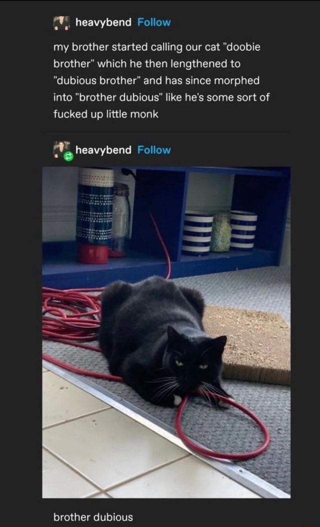 My brother started calling our cat "doobie brother" which he then ...