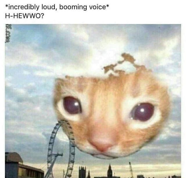 *incredibly loud, booming voice* H-HEWWO? - iFunny