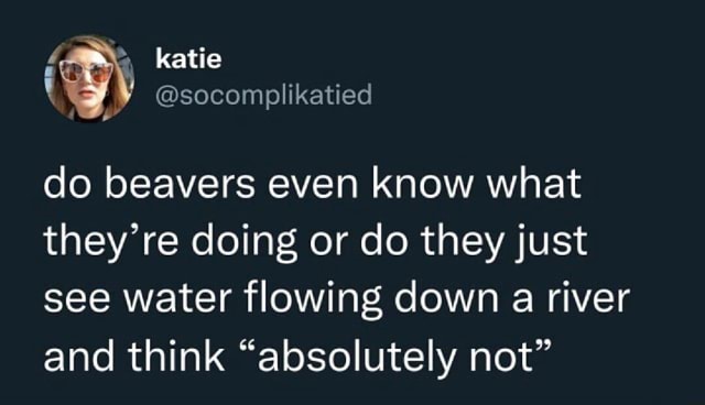 Katie do beavers even know what they re doing or do they just see water ...