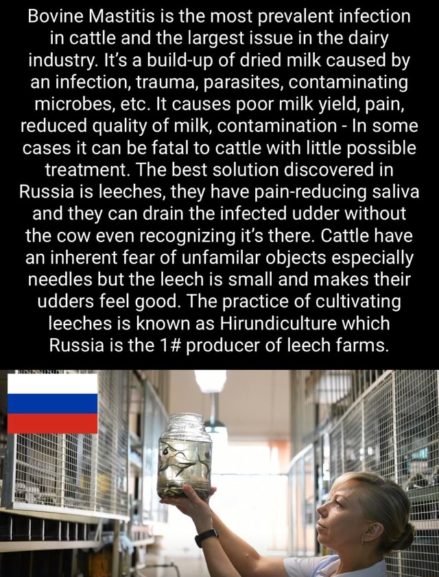 Bovine Mastitis is the most prevalent infection in cattle and the ...