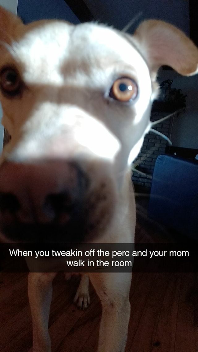 When you tweakin off the perc and your mom walk in the room - iFunny