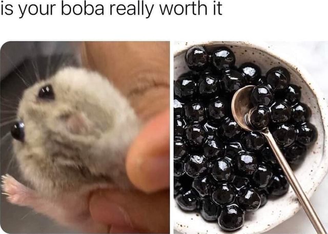Is your boba really worth it - iFunny