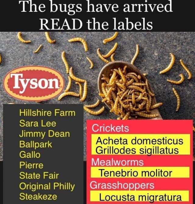 The bugs have arrived READ the labels _ Tyson Hillshire Farm I Sara Lee ...