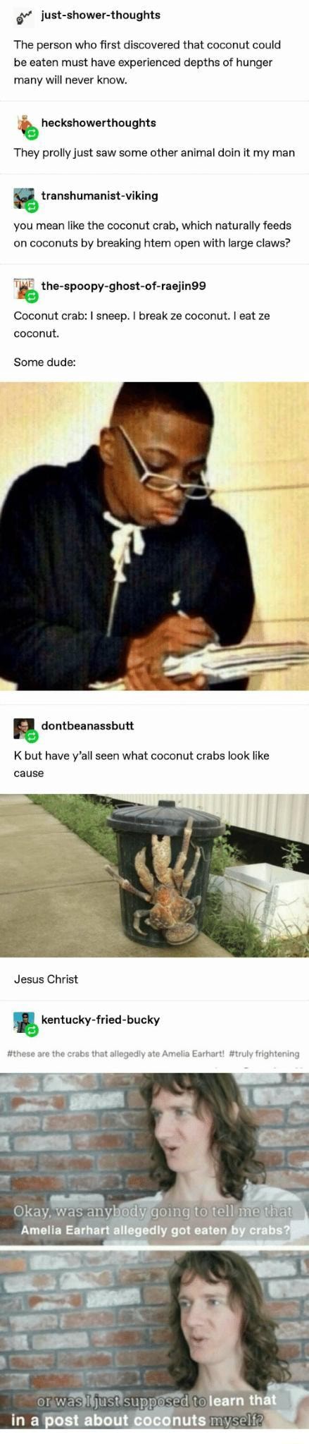 Anyone got a banana for scale? - The person who first discovered that ...