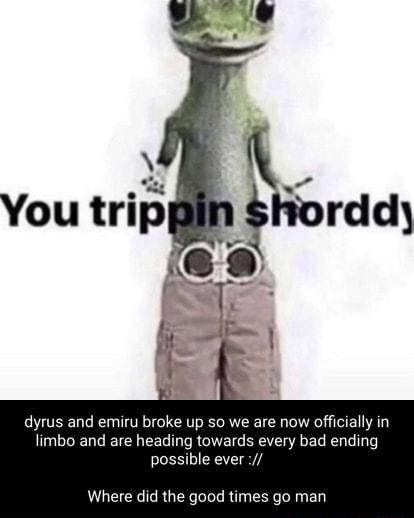 Dyrus and emiru broke up so we are now officially in limbo and are ...