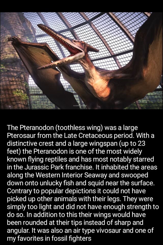 The Pteranodon (toothless wing) was a large Pterosaur from the Late Cretaceous period. With a ...