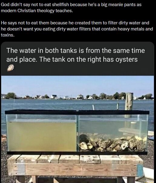 God didn't say not to eat shellfish because he's a big meanie pants as ...