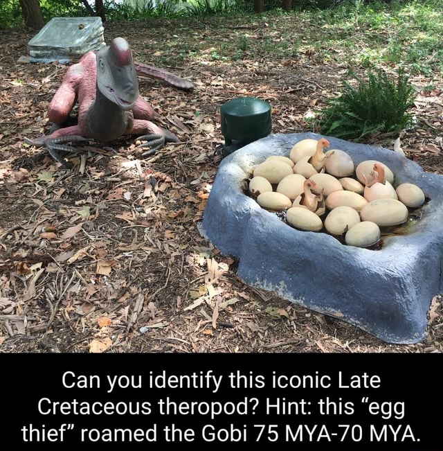 ~ te Can you identify this iconic Late Cretaceous theropod? Hint: this ...