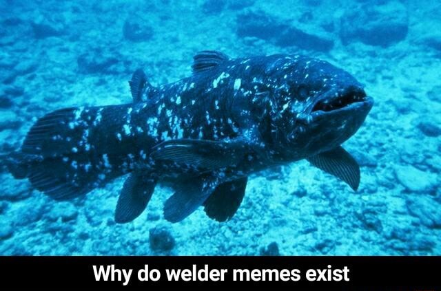 Why do welder memes exist - Why do welder memes exist - iFunny