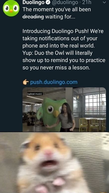 Duolingoª @duolingo » 21 h v The moment you've all been dreading ...