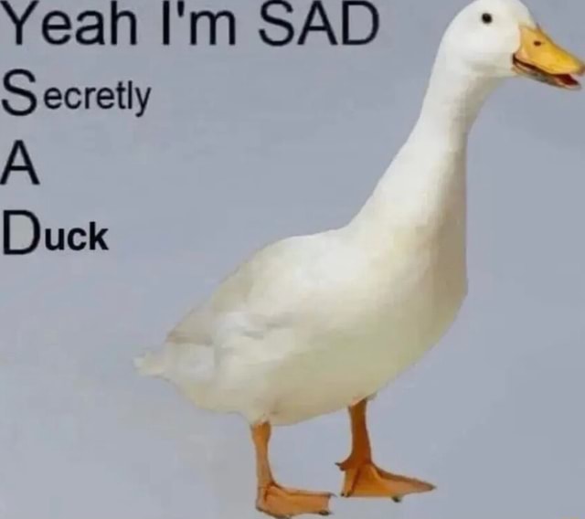 Yeah I'm SAD Secretly Duck - iFunny