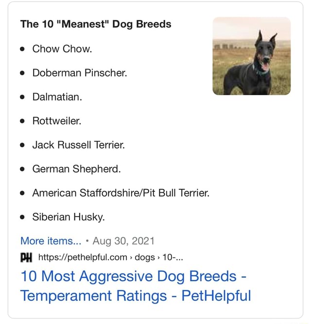 The 10 "Meanest" Dog Breeds e Chow Chow. Doberman Pinscher. e Dalmatian ...