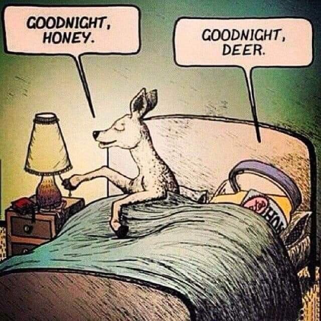 GOODNIGHT, DEER. - iFunny