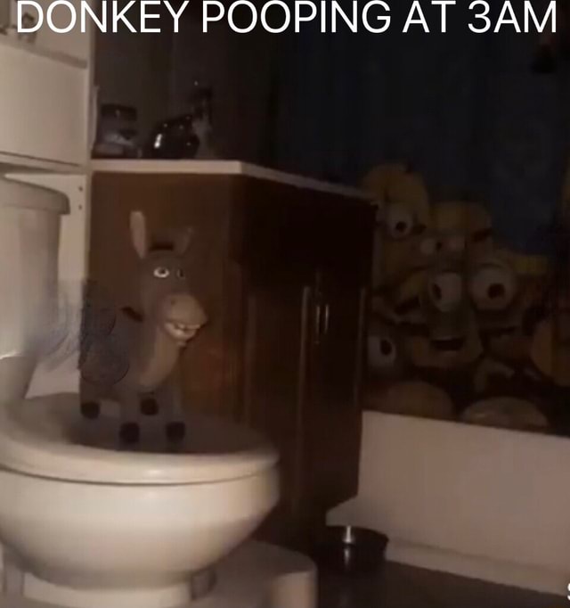 DONKEY POOPING AT SAM - iFunny