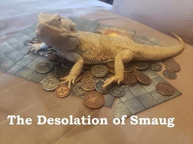 The Desolation of Smaug - iFunny