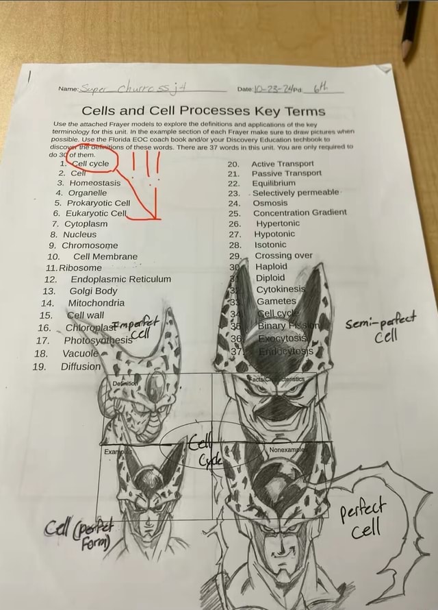 Name: Sepe Chutko SS _I Cells and Cell Processes Key Terms Use the ...