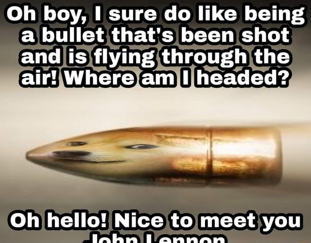 Oh boy, sure do like being a bullet that's been shot and is flying ...