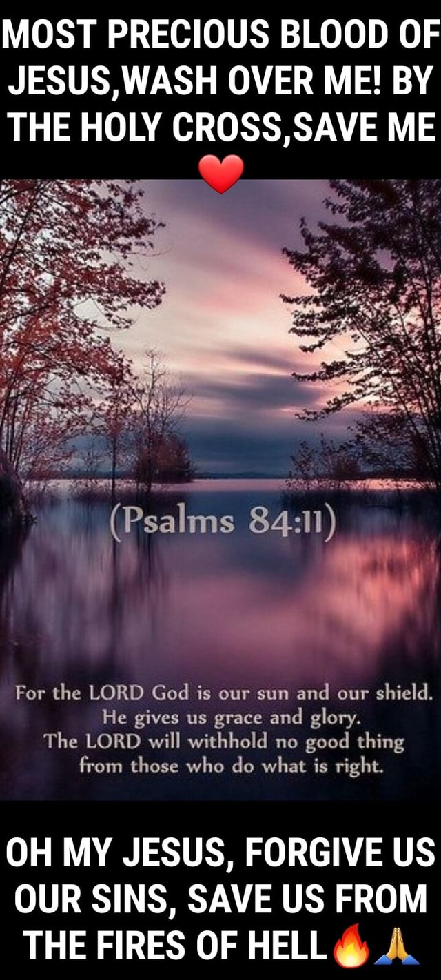 MOST PRECIOUS BLOOD OF JESUS, WASH OVER ME! BY THE HOLY CROSS,SAVE ME ...