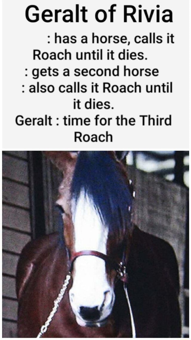 Geralt of Rivia : has a horse, calls it Roach until it dies. : gets a ...