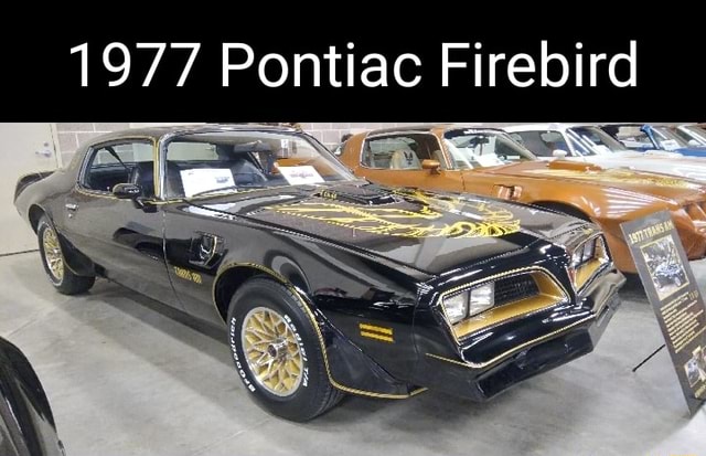 1977 Pontiac Firebird - iFunny