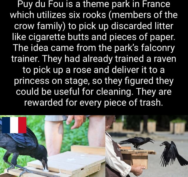 Puy du Fou is a theme park in France which utilizes six rooks (members ...