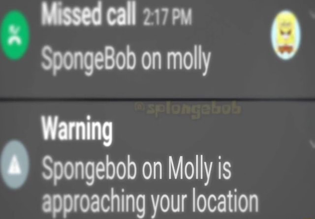 Missed call 217 PM SpongeBob on molly aa Warning Spongebob on Molly is ...