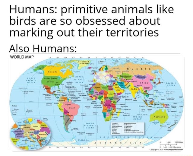 Humans: primitive animals like birds are so obsessed about marking out ...