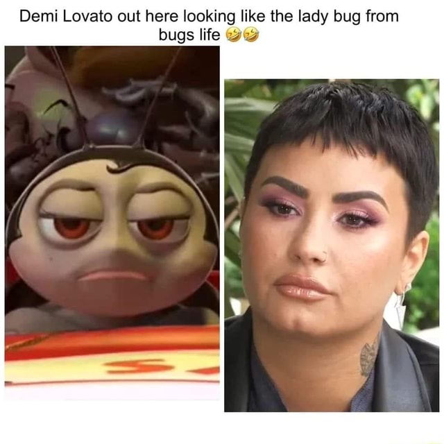 Demi Lovato out here looking like the lady bug from bugs life - iFunny ...