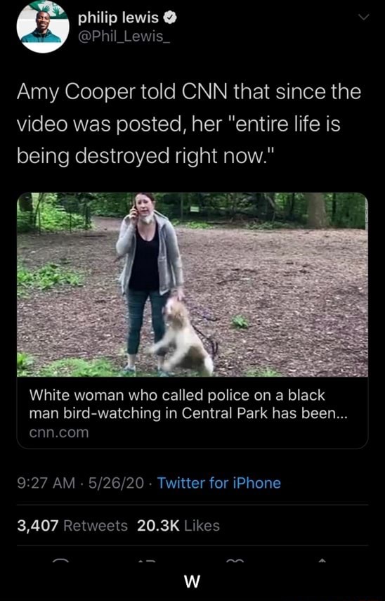 Amy Cooper told CNN that since the video was posted, her "entire life ...