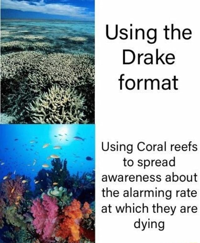 Using the Drake format Using Coral reefs to spread I awareness about -I ...