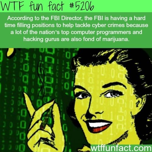 Fun fun fact According to the FBI Director, the FBI is having a hard ...