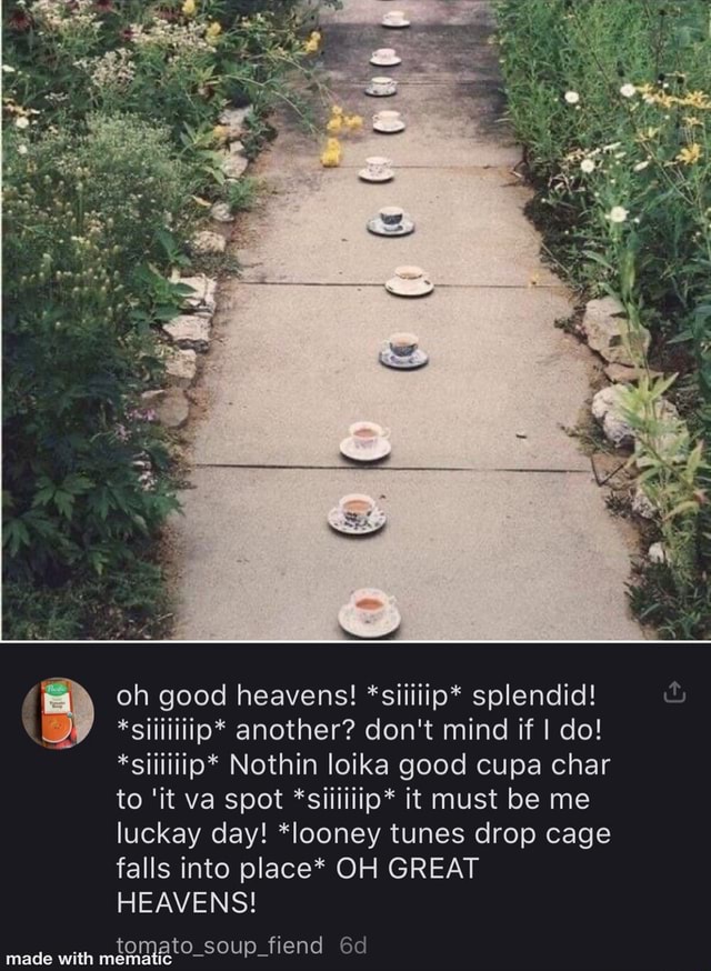 Oh good heavens! *siiliip* splendid! luckay day! *looney tunes drop ...