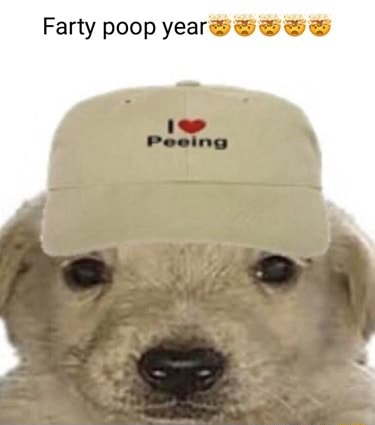 Farty poop year - iFunny