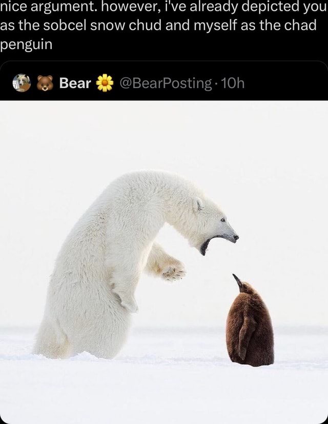 Nice argument. however, i've already depicted you as the sobcel snow ...