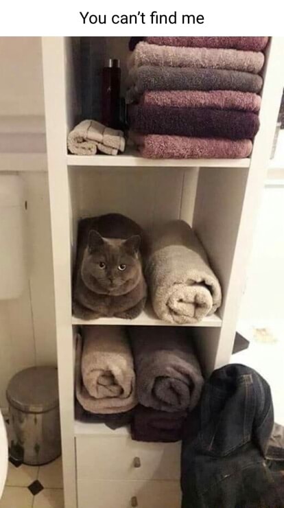 You can't find me - iFunny