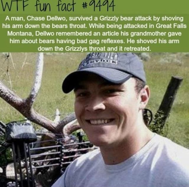 WI tun tact Aman, Chase Dellwo, survived Grizzly bear attack by shoving ...