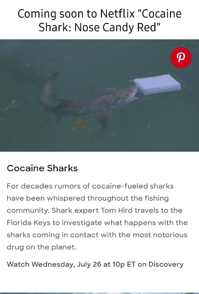 Coming soon to Netflix "Cocaine Shark: Nose Candy Red" Cocaine Sharks ...