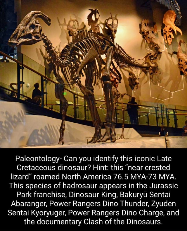 OS Paleontology- Can you identify this iconic Late Cretaceous dinosaur ...