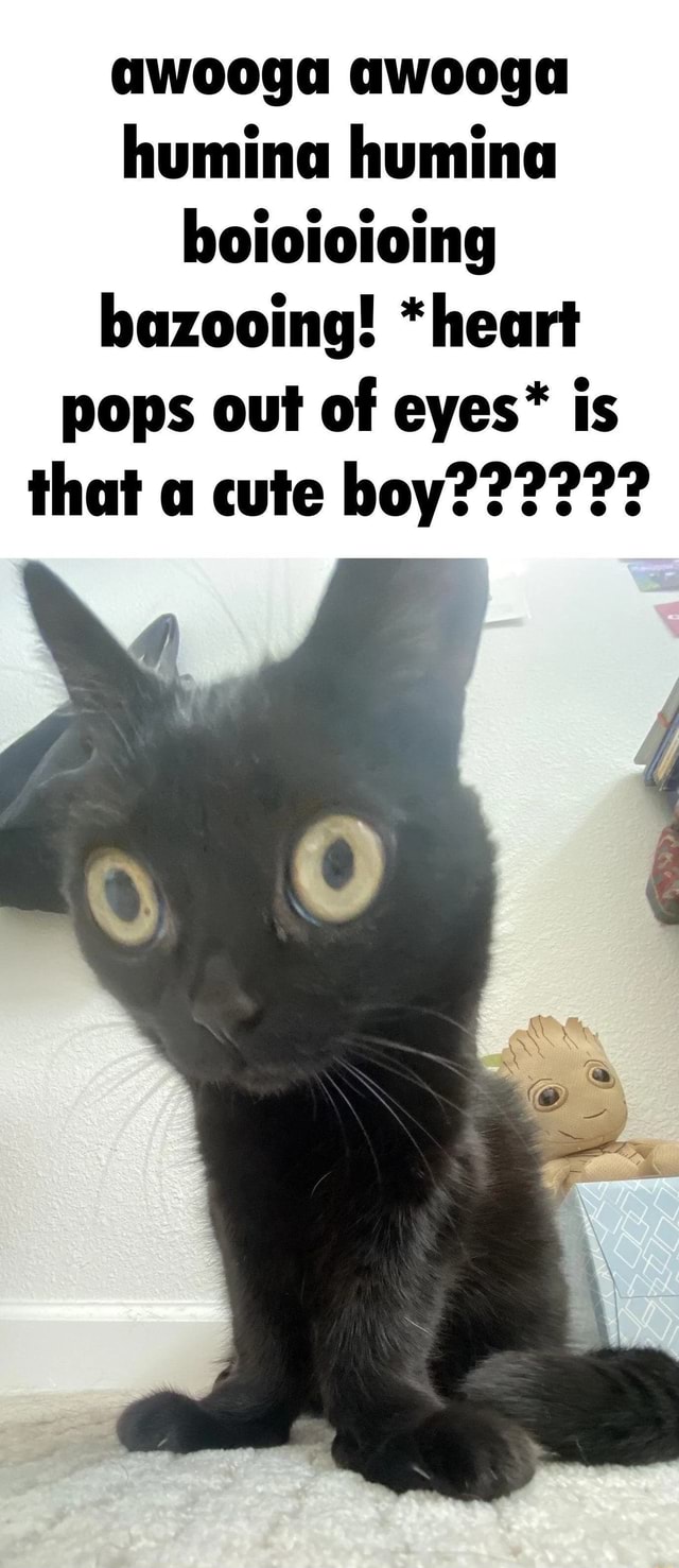 Awooga awooga humina humina boioioioing bazooing! *heart pops out of ...