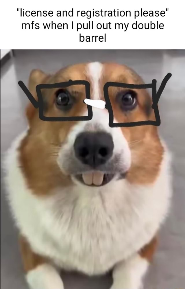 "license and registration please" mfs when I pull out my double barrel - )