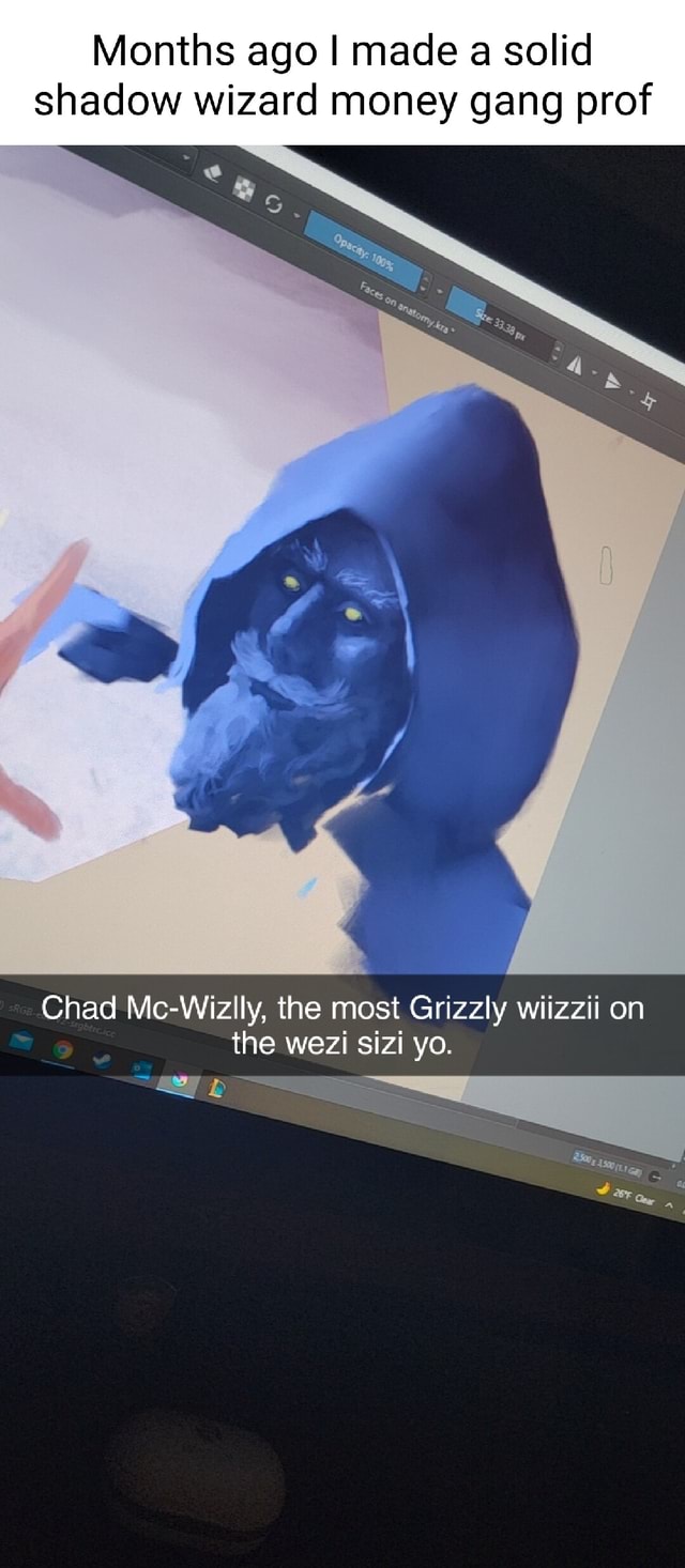 Months ago I made a solid shadow wizard money gang prof Chad Mc-Wizlly ...