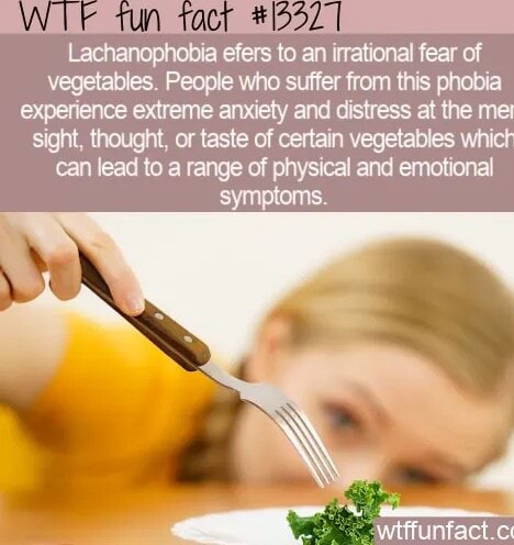 Tun tact Lachanophobia efers to an irrational fear of vegetables ...