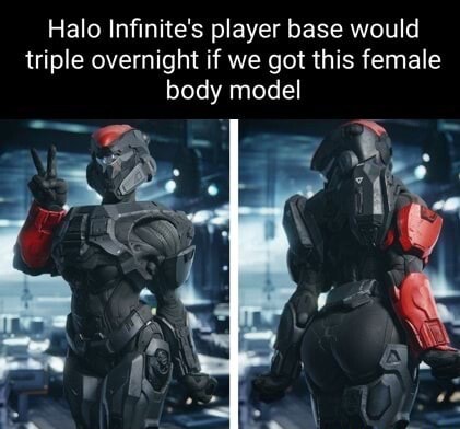 Halo Infinite's player base would triple overnight if we got this ...