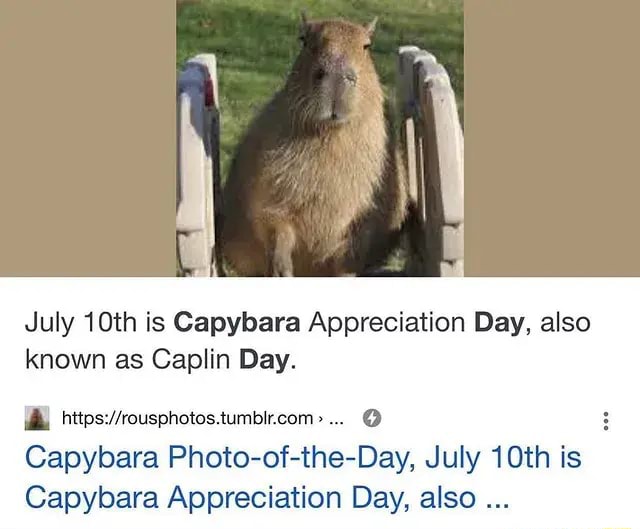 July 10th is Capybara Appreciation Day, also known as Caplin Day ...