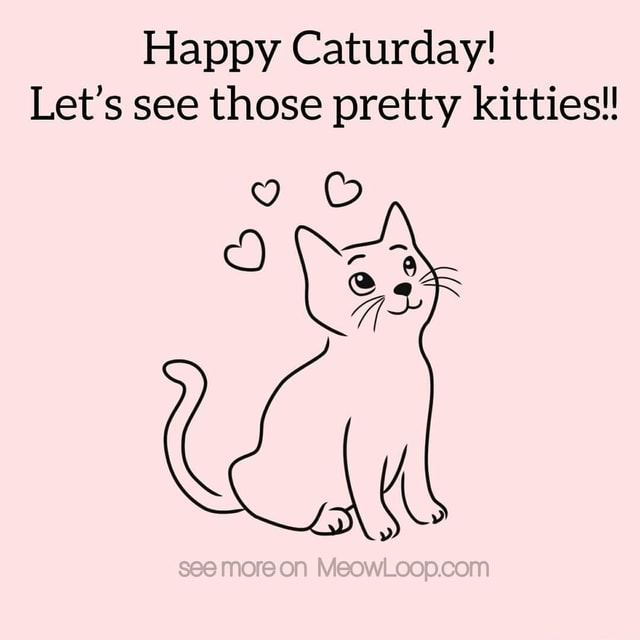 Happy Caturday! Let's see those pretty kitties! - America’s best pics ...