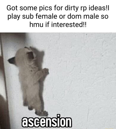 Got some pics for dirty rp ideas!! play sub female or dom male so hmu ...