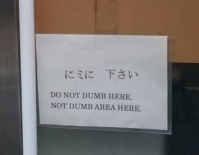 DO NOT DUMB HERE, NOT DUMB AREA HERE. - iFunny