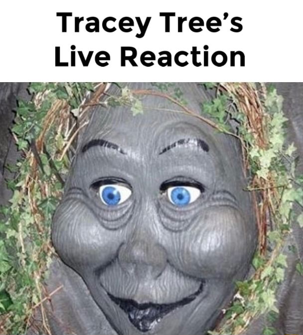 Tracey Tree's Live Reaction - iFunny