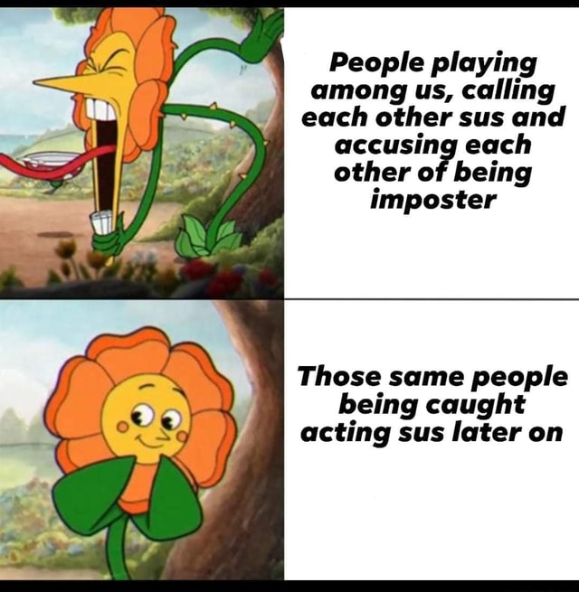 People playing among us, calling each other sus and accusing each other ...