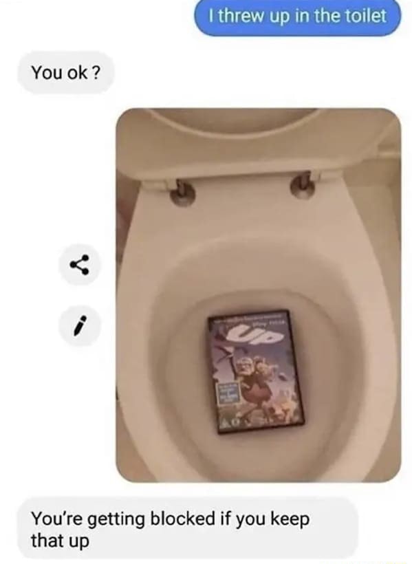 Threw Up In The Toilet Meme